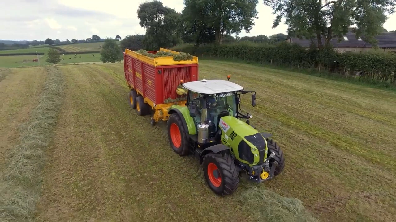 Vlog August Update – GRASSMEN