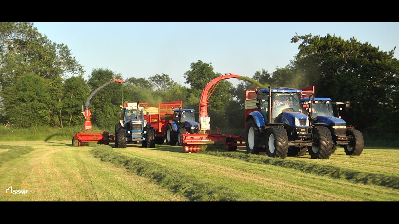 Two Legends And A Donkey – GRASSMEN