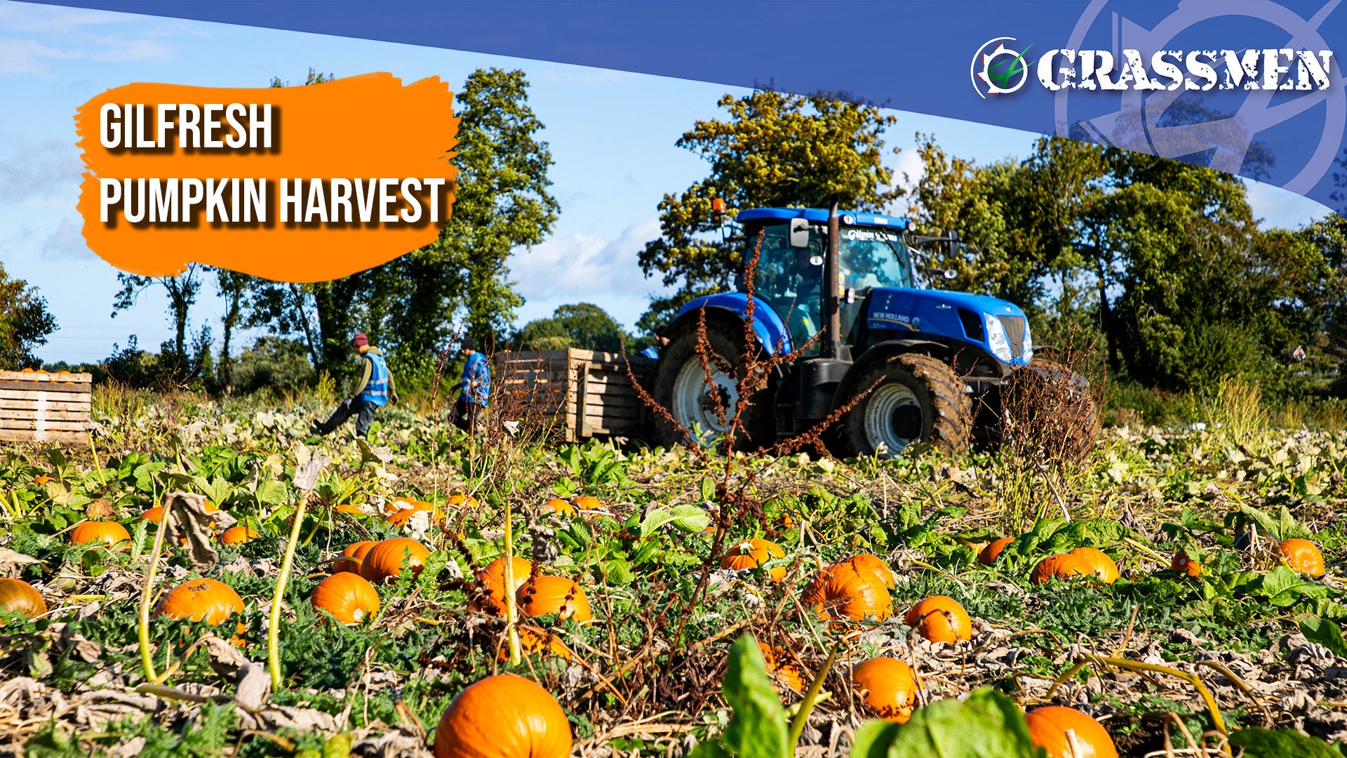 Gilfresh Produce 2022 Pumpkin Harvest! – GRASSMEN