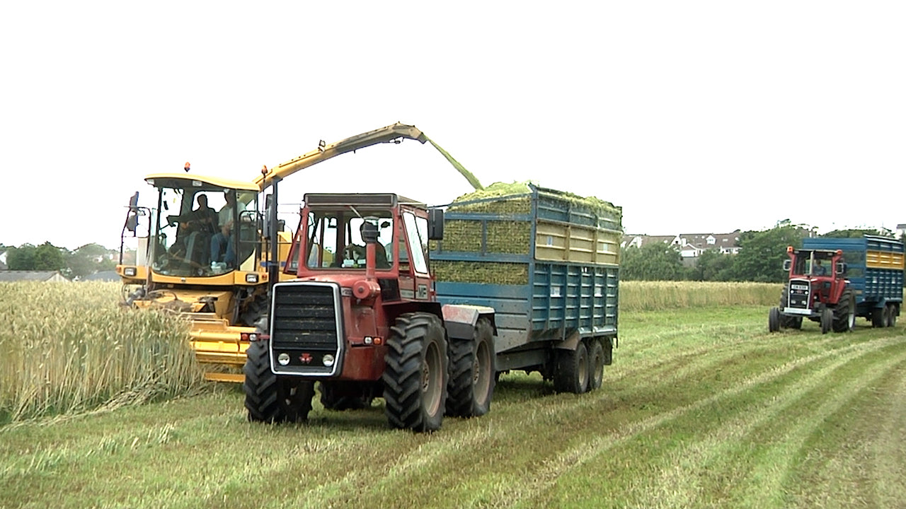 Classic GRASSMEN - Old School