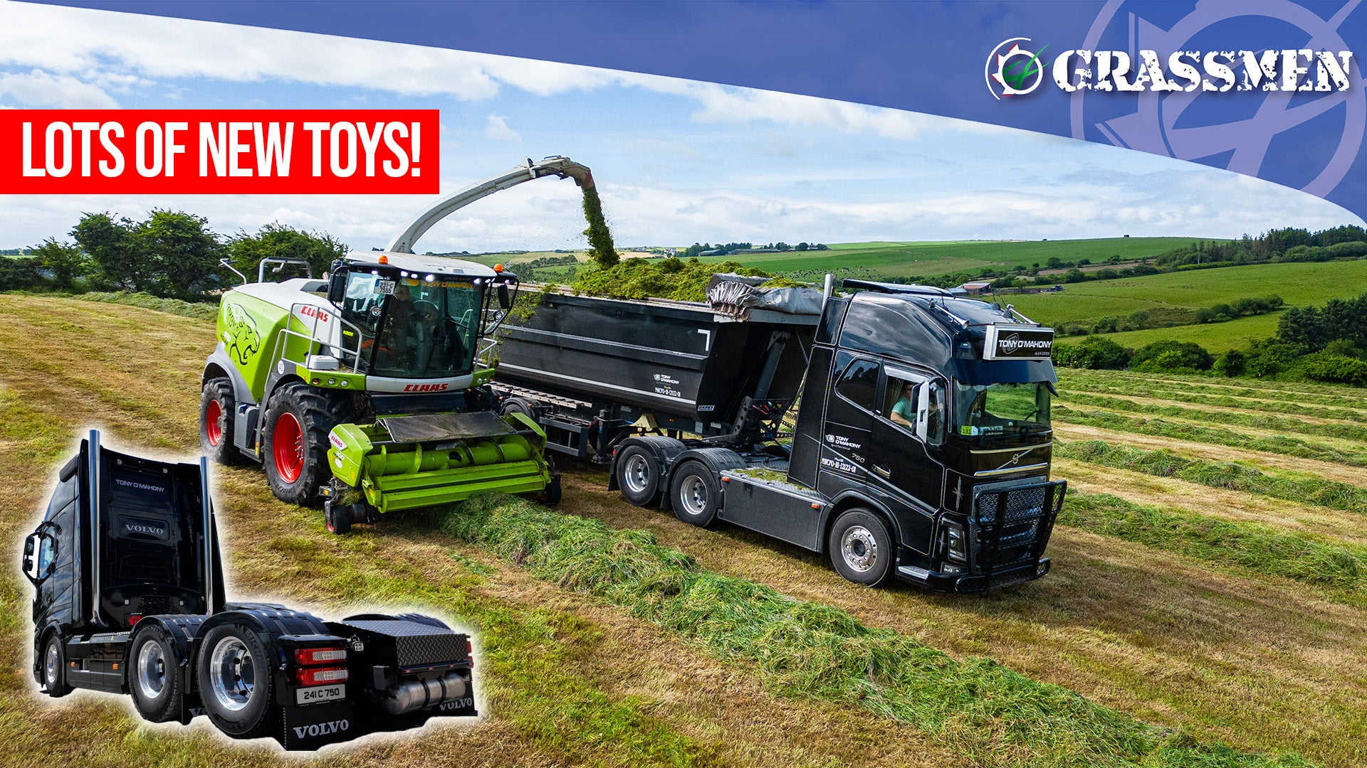 What's New in Tony O'Mahony's yard? – GRASSMEN