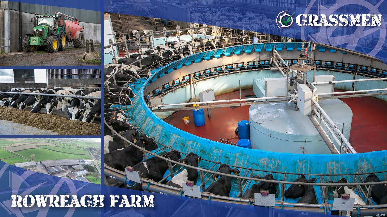 Rowreagh Farm Ltd. – GRASSMEN