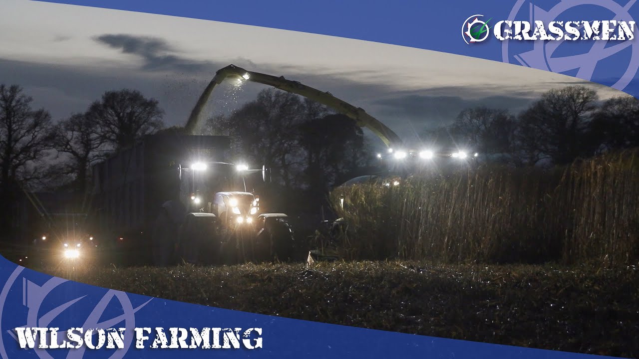 Wilson Farming make a start on Miscanthus – GRASSMEN