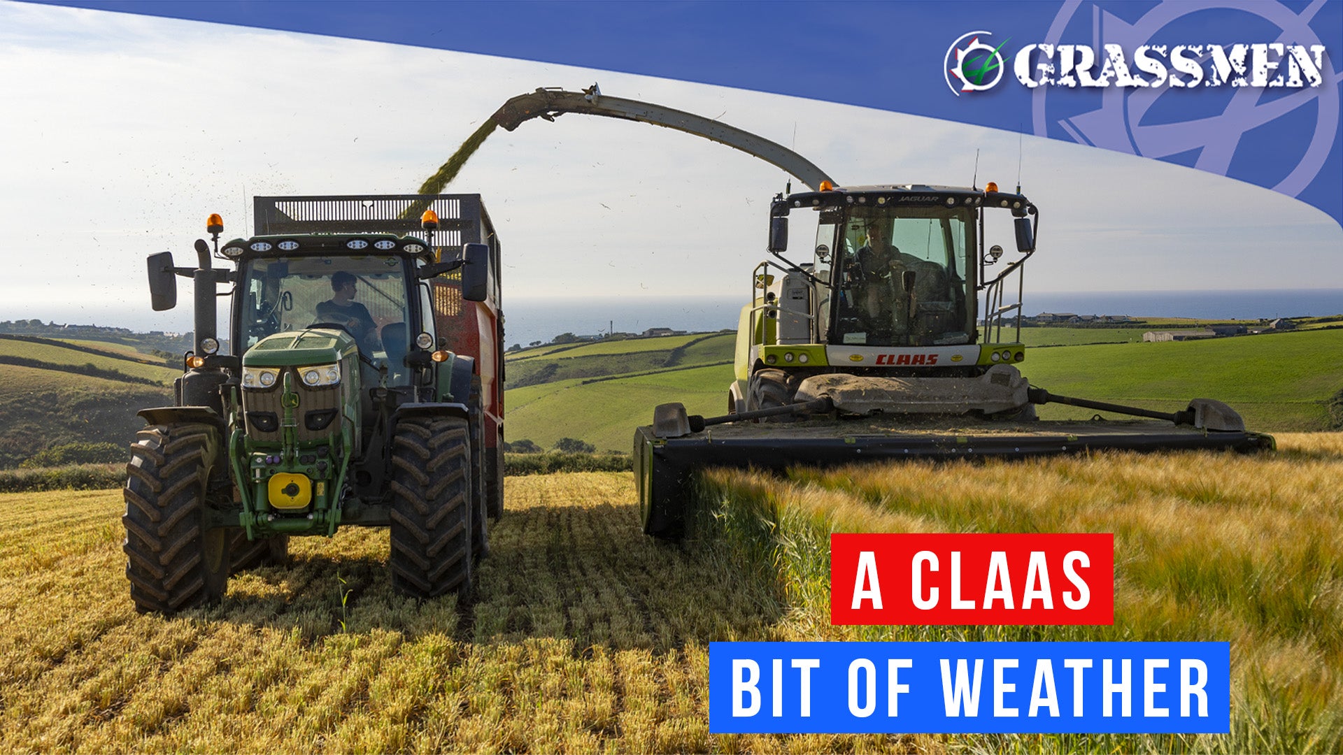 Whole lot of Wholecrop – GRASSMEN