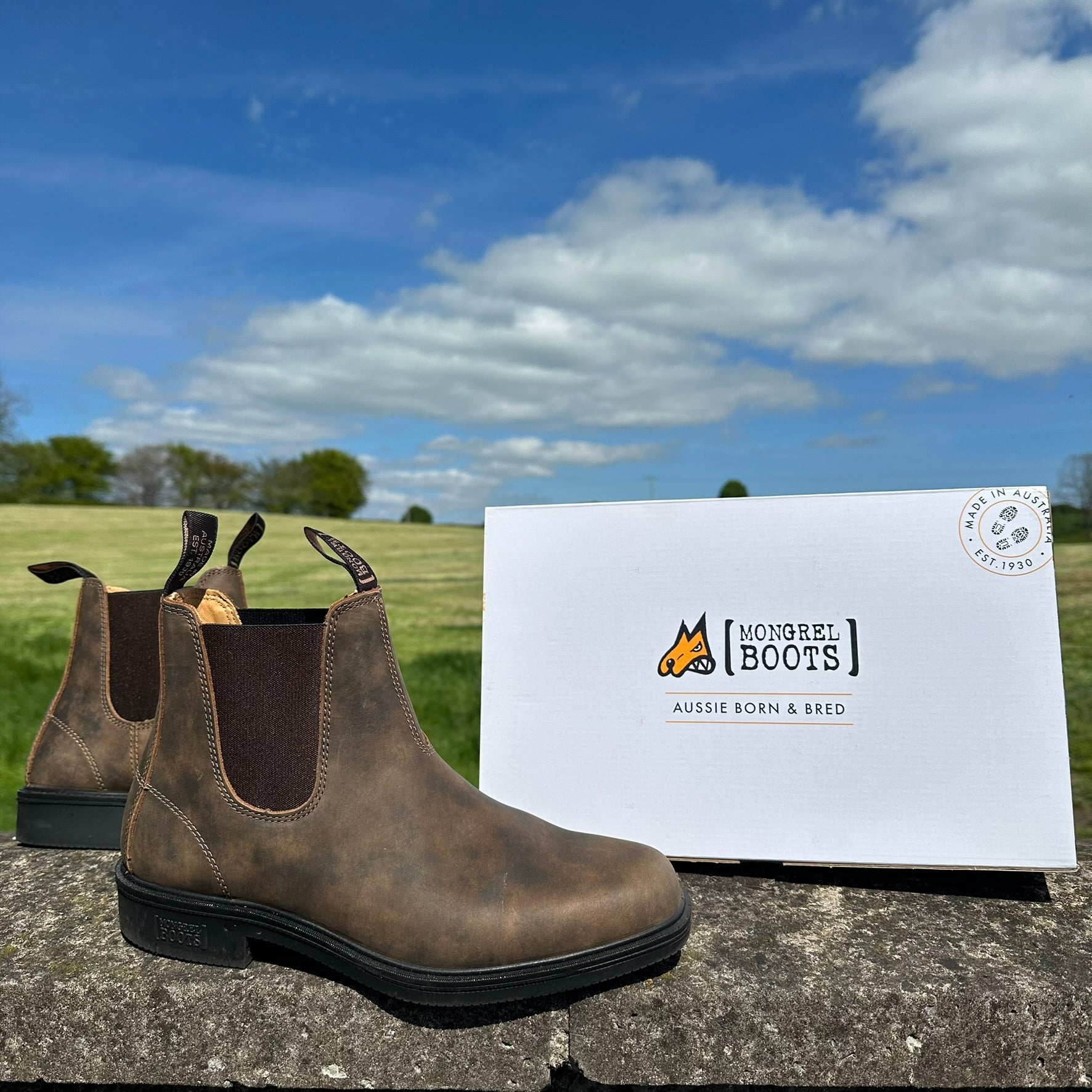 Mongrel Cloudy Brown Chisel Toe Boot – GRASSMEN