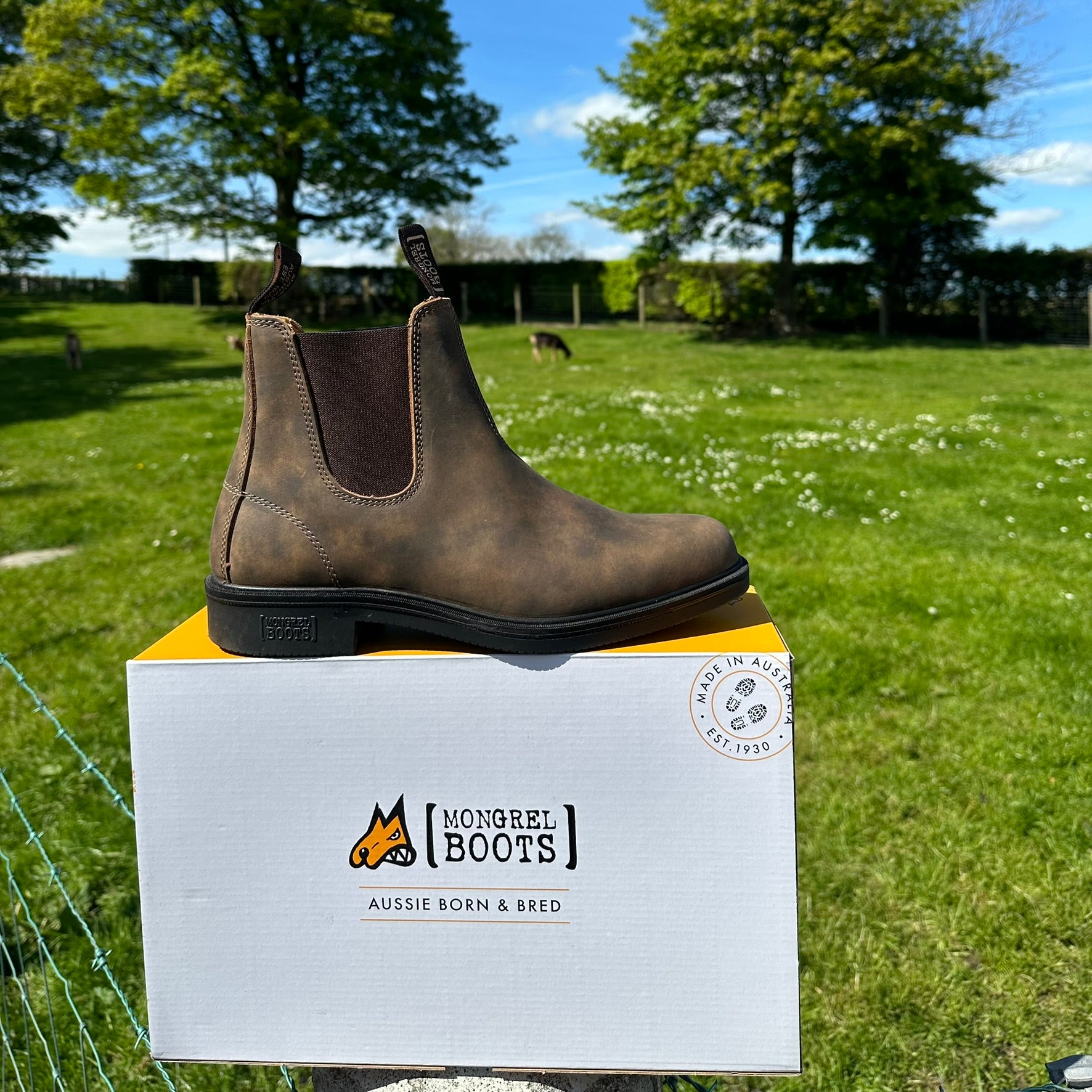 Mongrel Cloudy Brown Chisel Toe Boot – GRASSMEN